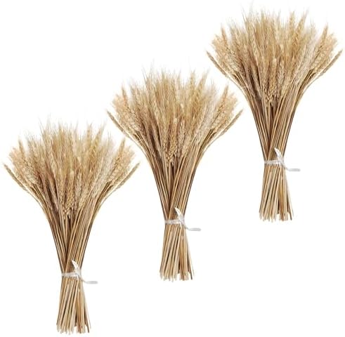 Amazon.com: MHMJON 300PCS Dried Wheat Stalks for Decor 16" Natural ...