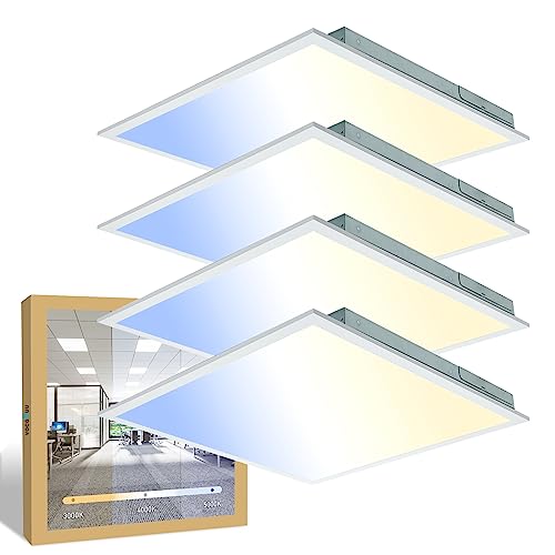 Top 10 Best Lights For Drop Ceiling : Reviews & Buying Guide - Katynel