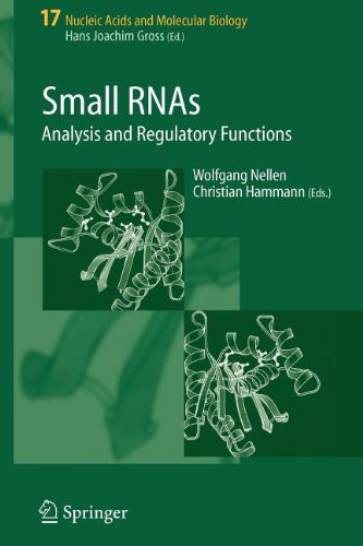 Small Rnas : Wolfgang Nellen, Christian Hammann: Amazon.in: Books