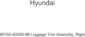Amazon.com: Genuine Hyundai 85740-4D050-9B Right Side Luggage Trim ...