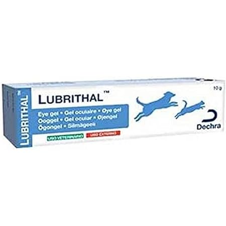 An-HyPro Dog Eye Gel - Dog Eye Drop Gel 7ml : Amazon.co.uk: Pet Supplies