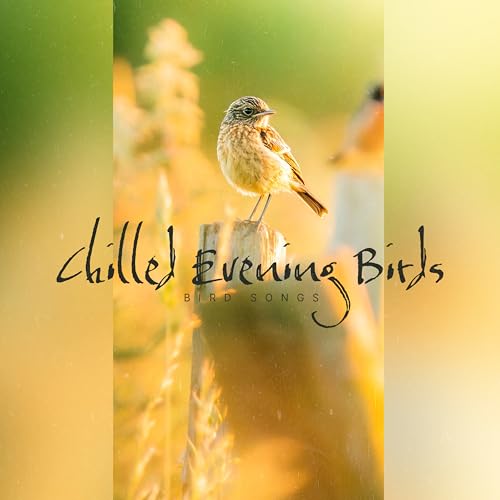 Play Chilled Evening Birds by Bird Songs on Amazon Music
