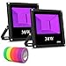 Roleadro Black Lights 30W 2 Pack, LED Blacklight Flood UV Black Light ...