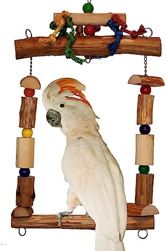Amazon.com : Super Bird Creations SB1159 Mega Swing Bird Toy - Exercise ...