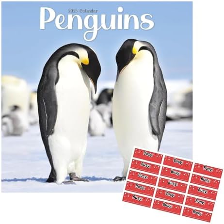 Penguins - 2025 Square Wall Calendar - by Red Robin Publishing : Amazon ...