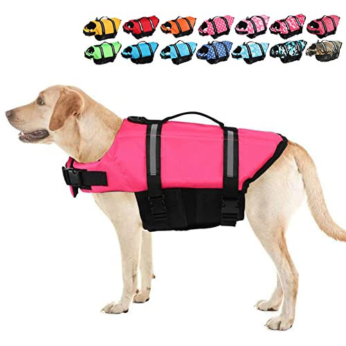 Best Dog Life Jacket by Outward Hound with Dual Grab Handle