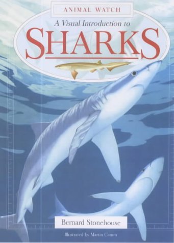 A Visual Introduction to Sharks: Bernard Stonehouse~Martin Camm ...