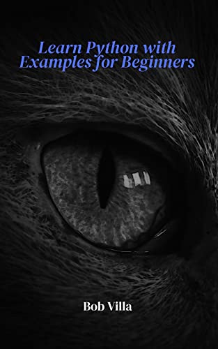 Amazon.com: Learn Python with Examples for Beginners: Learn Python ...