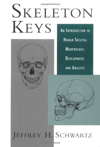 Skeleton Keys: An Introduction to Human Skeletal Morphology ...