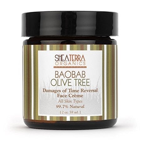 Amazon.com: Baobab Olive Tree Face Creme
