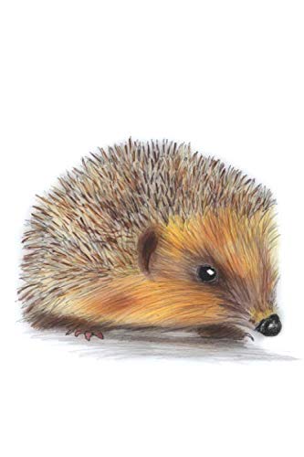 Book of Notes - Hedgehog: College (medium) lined blank notebook with ...