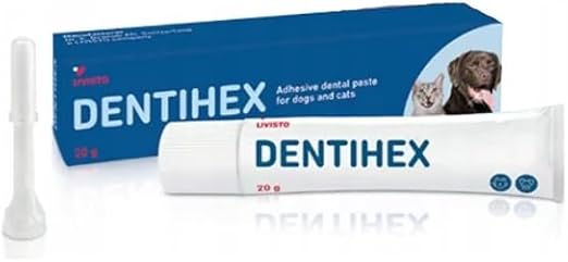 Dentisept Toothpaste - 20g : Amazon.co.uk: Health & Personal Care
