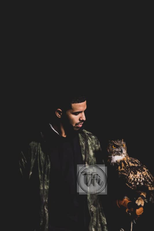 Drake Posters, Drake Canadian Rapper Posters for Wall, Unframed, with ...