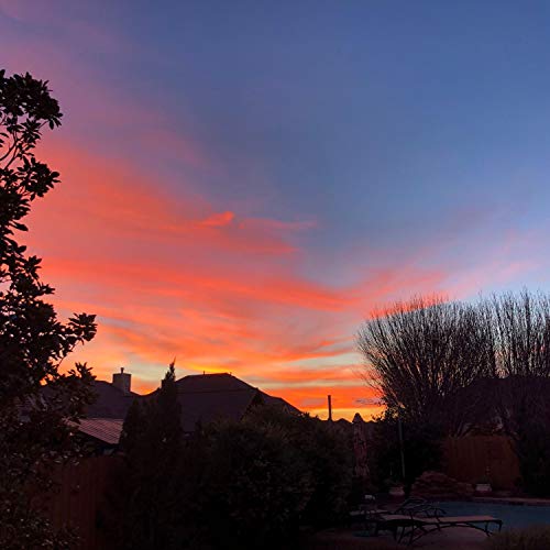 Amazon.co.jp: Earth : steven r brown: デジタルミュージック