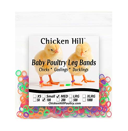 Best Poultry Leg Tags Numbered 2024 Where to Buy? PoultryTalk.com