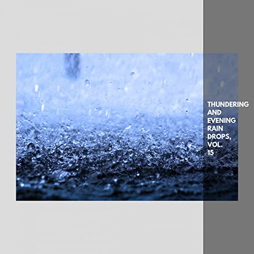 Thundering and Evening Rain Drops, Vol. 15 : VARIOUS ARTISTS: Amazon.de ...