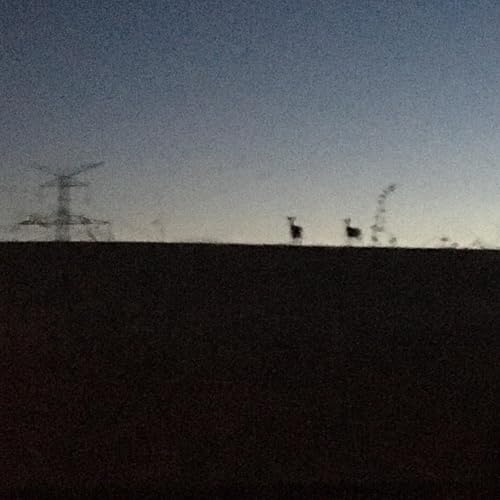 Amazon MusicでDkbnのApolloを再生する