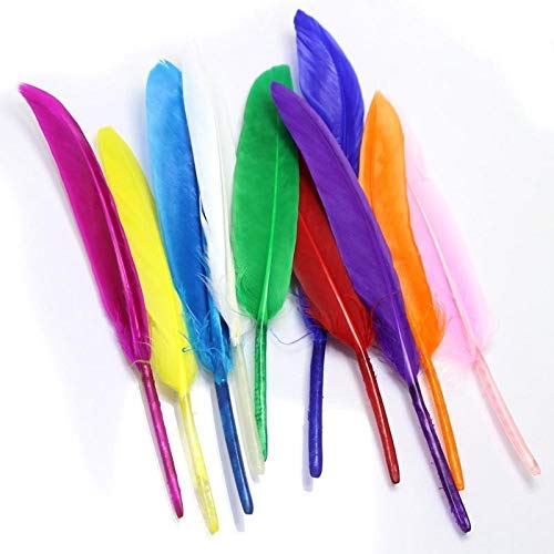 ANG Multicolour Attractive Artificial Feathers for Art and Craft ...
