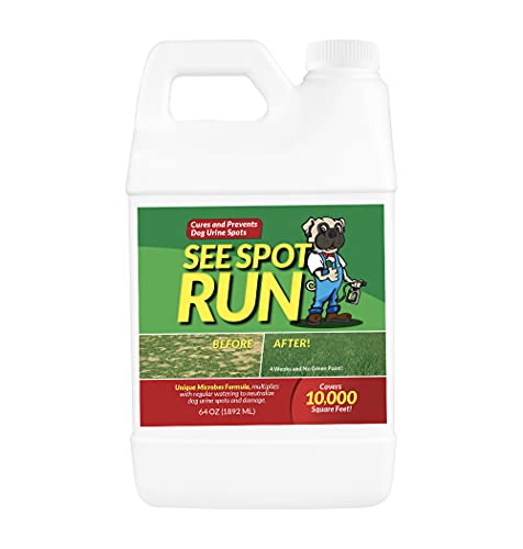 10 Best Dog Foods That Double as Quality Fertilizers: A Comprehensive ...