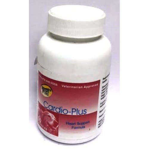 Cardio-Plus Heart Support Formula 60 Capsules : Amazon.in: Health ...
