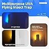 Amazon.com : Mosalogic Fruit Fly Traps for House Use Gnat Trap Flying ...