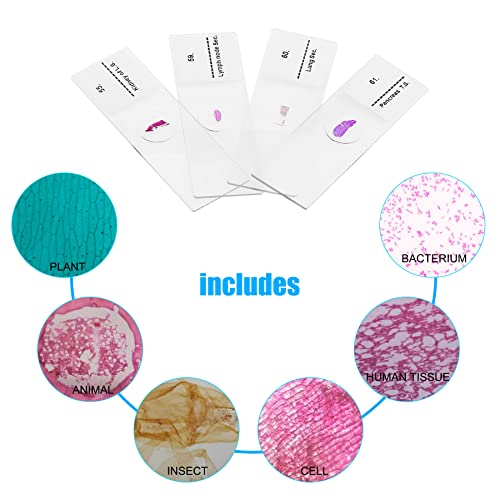 Snapklik.com : Microscope Slides, 100 Pcs Prepared Microscope Slides