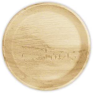 Amazon.com: Verterra Palm Leaf Plates, 100% Compostable - 10 inch Round ...