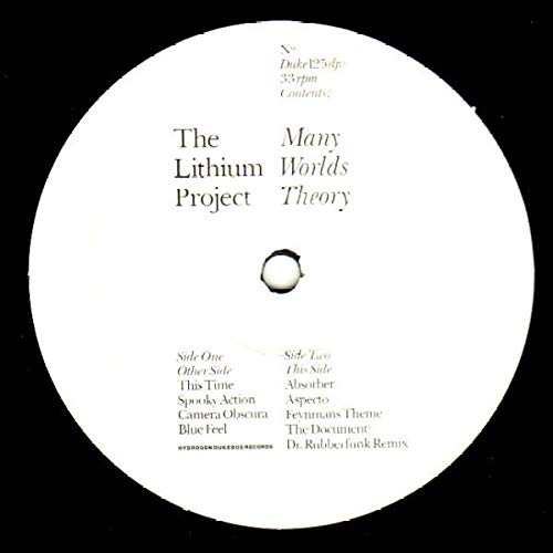 Amazon.de:Many Worlds Theory [Vinyl LP]