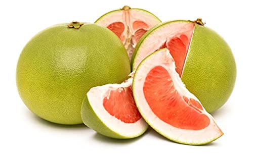 Indian Nursery Dwarf Pomelo Citrus Maxima Fruit Plant : Amazon.in ...