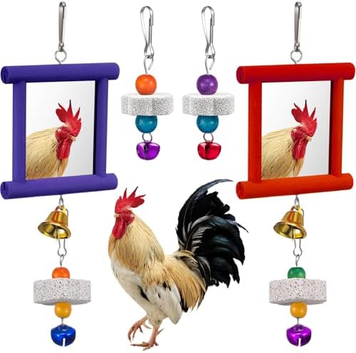 Amazon.com : Sumind 2 Pieces Chicken Mirror Toys Hanging Swing Mirror ...