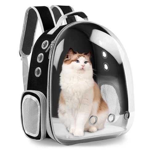Cat Bubble Backpack – The 15 best products compared - Wild Explained