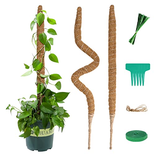 Tutores para plantas Leroy Merlin: el soporte perfecto para tus plantas ...