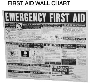First Aid Wall Chart (22"X 26): Industrial Warning Signs: Amazon.com ...