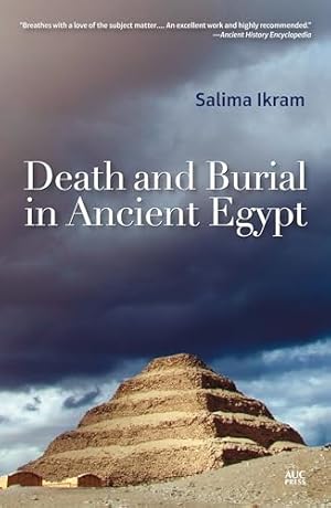Amazon.com: Religion and Ritual in Ancient Egypt: 9780521613002: Teeter ...