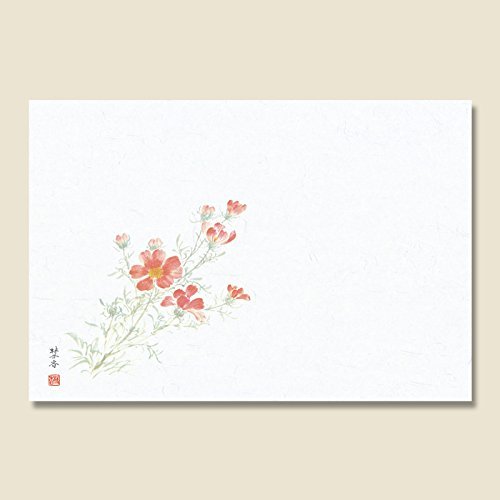Amazon.co.jp: 長井紙業 和風テーブルマット 輝シリーズ 17 秋桜(コスモス) 100枚 004660217 : ホーム＆キッチン