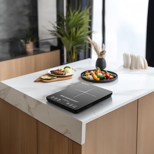 AMZCHEF Portable Induction Cooktop 20 Temperature & Power Levels, 1800W ...