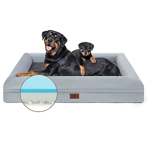 Cooling Dog Beds – The 15 best products compared - Wild Explained