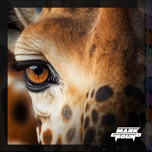 Écouter Solveig par Mark Ground sur Amazon Music Unlimited