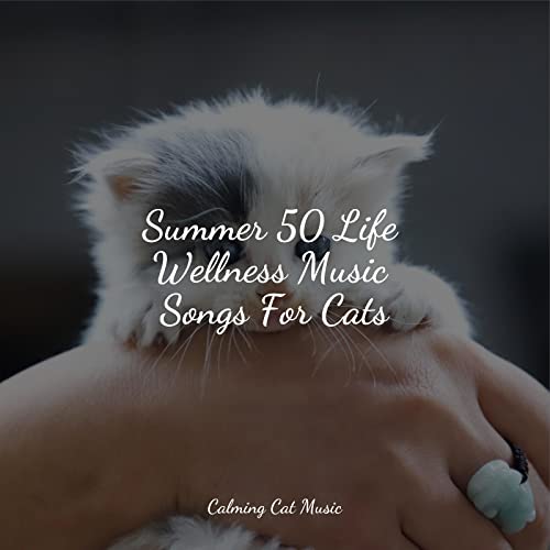 Summer 50 Life Wellness Music Songs For Cats by Music For Cats, Cat ...