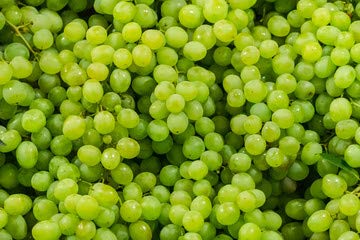 SelpLine | Green Grape/Angoor Sweet Fruit Plant - Healthy Live Plant ...