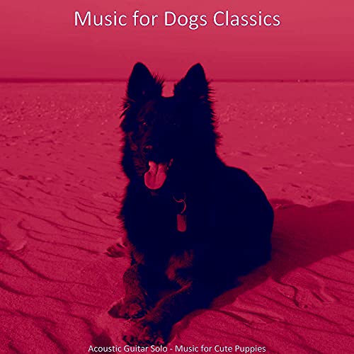 Acoustic Guitar Solo - Music for Cute Puppies de Music for Dogs ...