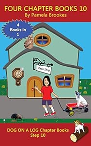 Amazon.com: Five Chapter Books 7: Sound-Out Phonics Books Help ...