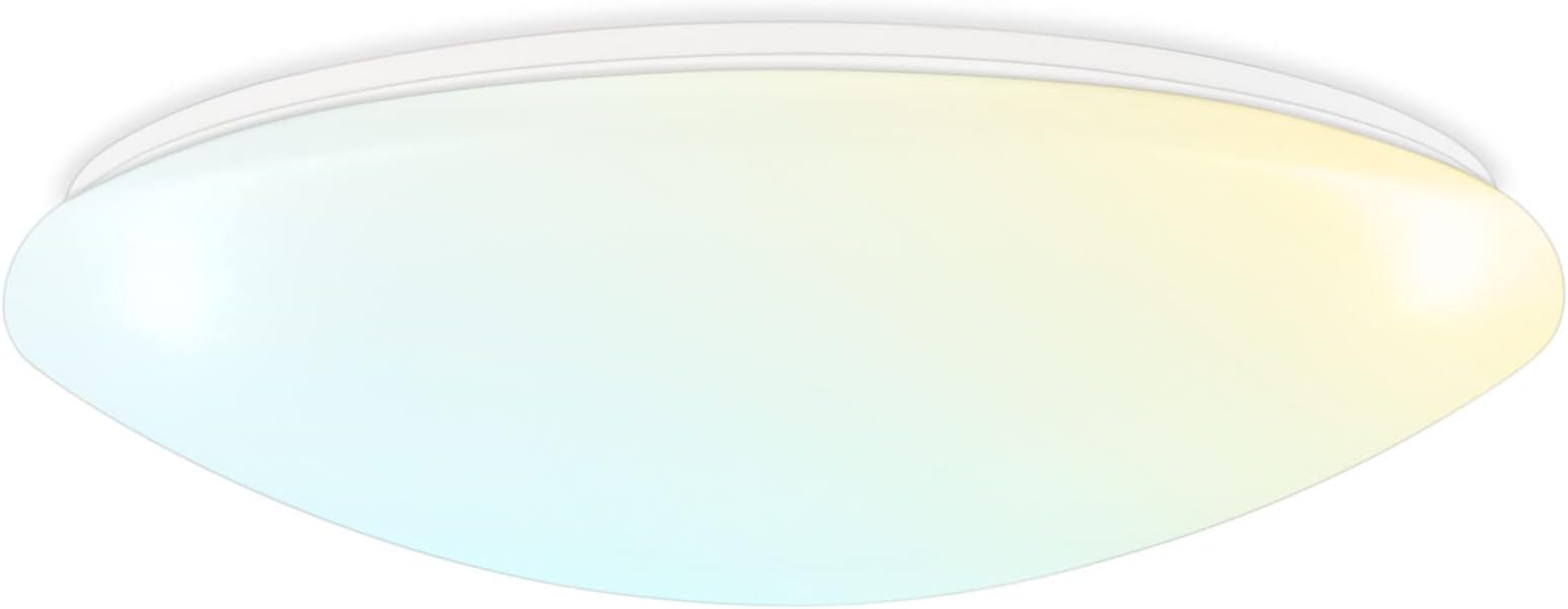 Lithonia Lighting FMHLDL 14 20840 M4 Hildon Flush Mount Light, 4000K ...