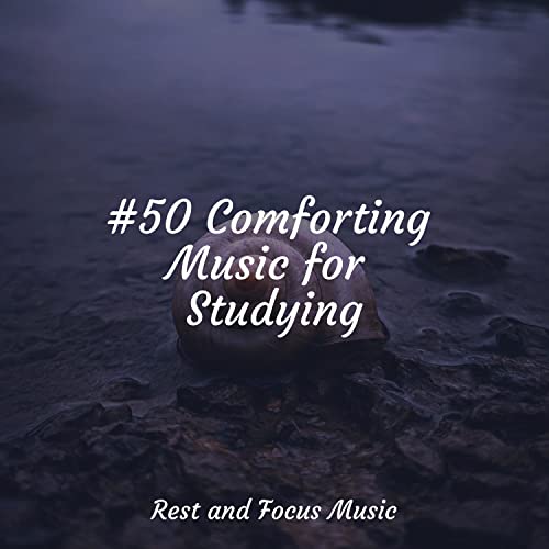 #50 Comforting Music for Studying di Relax Meditation Sleep ...