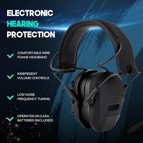 Encuentra Conchas Auditivas