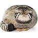 Amazon.com: 18 in Steppe Cat Pillow, Cat Plush Body Pillow, Cute ...