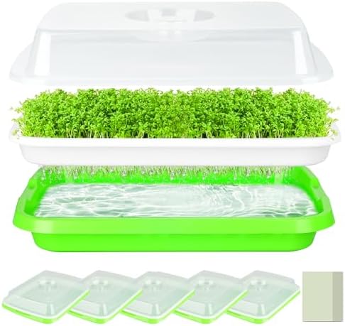 Biosta Sprouter with 3 levels -Green Tint : Amazon.ca: Sports & Outdoors