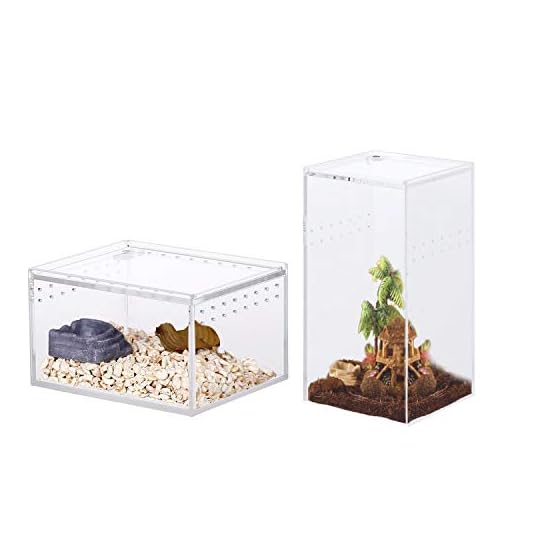 2 Pack Acrylic Reptile Terrarium Insect Tarantula Enclosure Tank Snail ...
