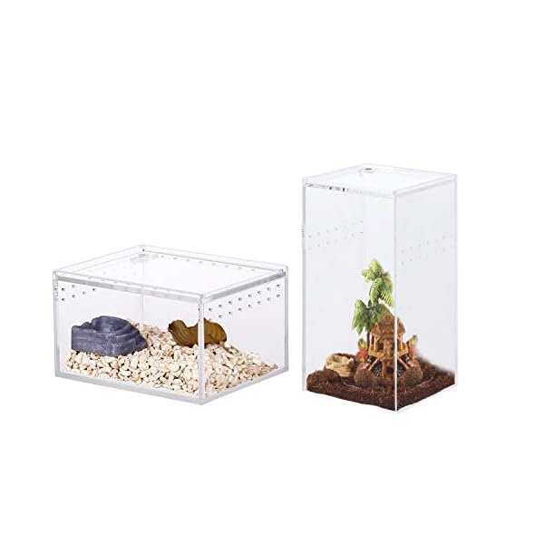2 Pack Acrylic Reptile Terrarium Insect Tarantula Enclosure Tank Snail ...