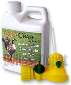 Amazon.com: Bird-X 1 Gal Repellent Goose Chase : Patio, Lawn & Garden
